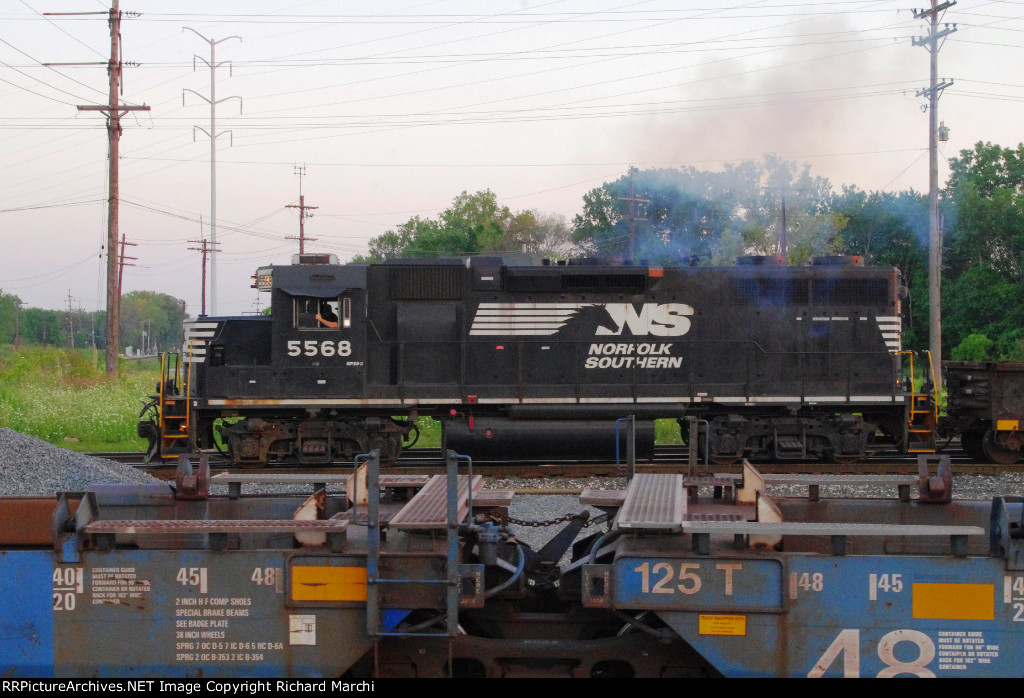 NS 5568